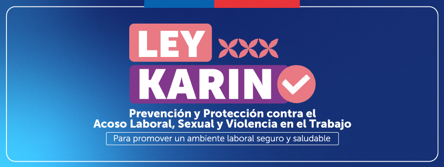 Ley Karin Prevención Y Protección Contra El Acoso Laboral Sexual Y 9256